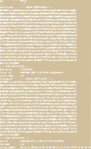 Set Up Mutual TLS (mTLS) with Vault’s PKI Secrets Engine – THE NUCLEAR GEEKS